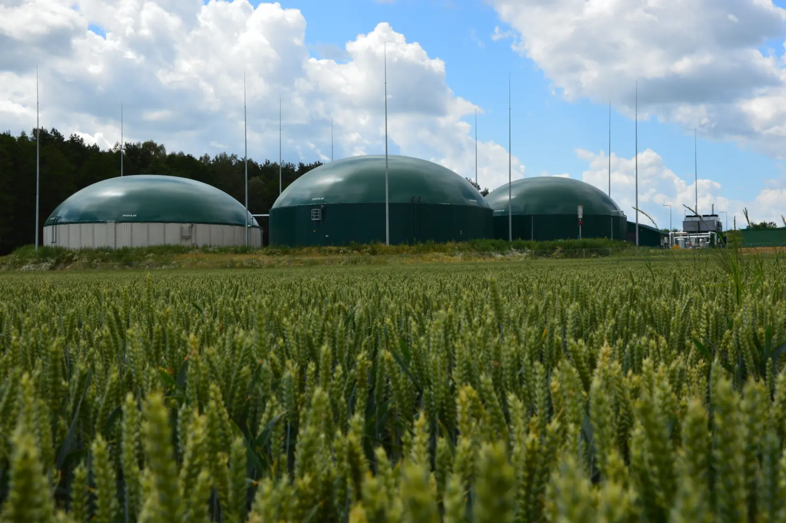 Polish Biogas Group and Hekla Energy Launch Strategic Partnership in ...